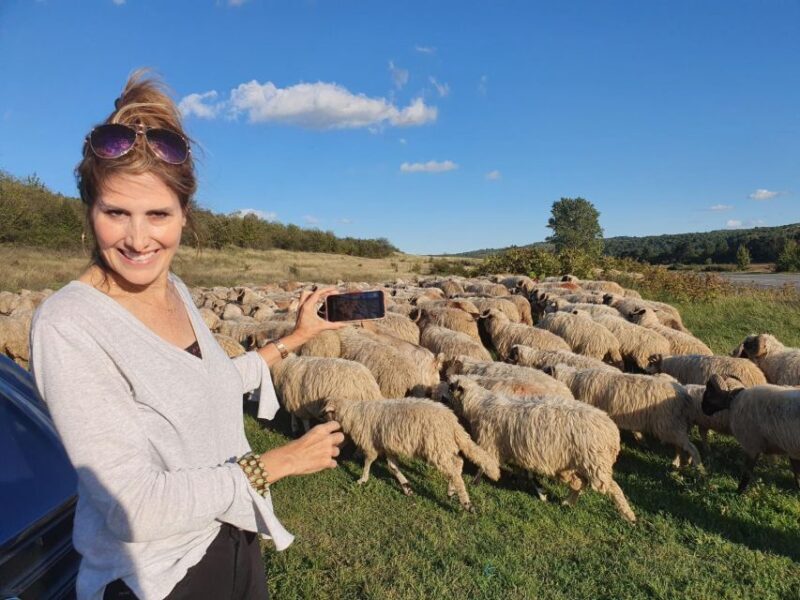 7h Dracula's Castle Private Tour from Bucharest - Fast Tour - What Could Be Better?