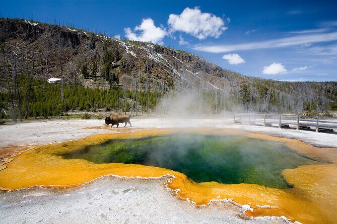 8-Day Tour in San Francisco, Yellowstone, Grand Canyon and Vegas - Why This Tour Offers Great Value