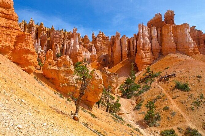 8 Day Trip Las Vegas Antelope Canyon Bryce Yellowstone - FAQ