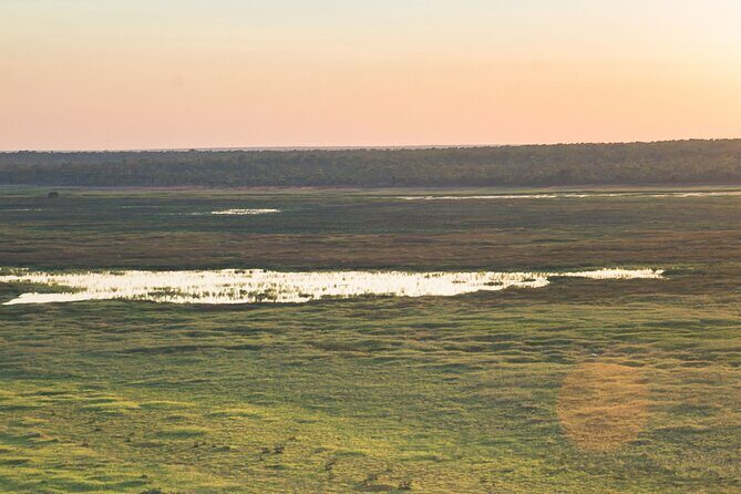 8 days Darwin, Kakadu National Park & Katherine Gorge Escorted Tour. - What Makes This Tour Stand Out