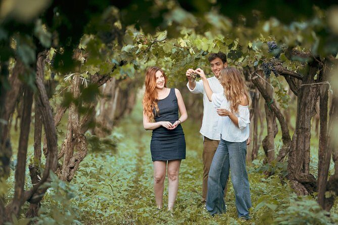 8 Days Small Group Food & Wine Tour of Sicily (Max 8 Guests) - Who Will Love This Tour?