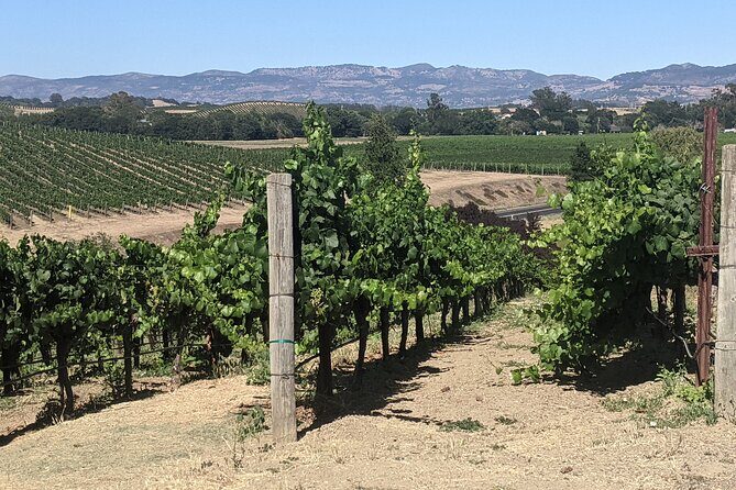 8 Hour Napa and Sonoma Valley tour - FAQ