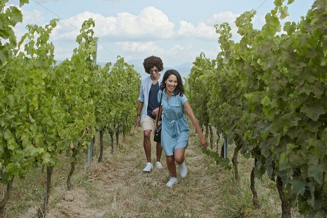 8 Hour Ontario Wine Tour with Cheese and Charcuterie - Potential Drawbacks to Keep in Mind