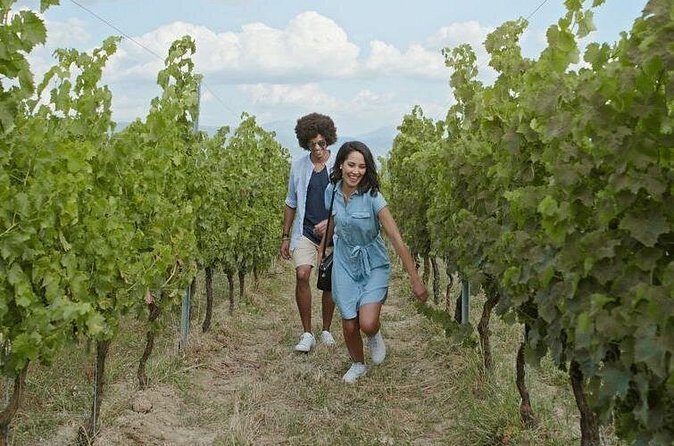 8 Hour Ontario Wine Tour with Cheese and Charcuterie - FAQs