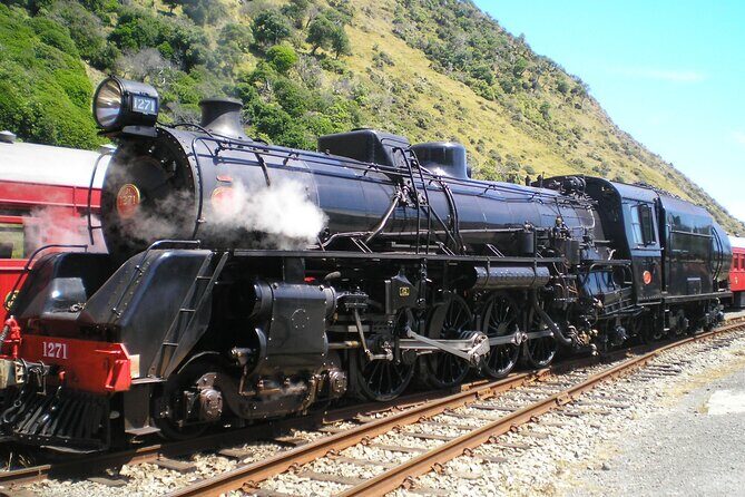 8-Hour Private Scenic Kapiti Coast Tour from Wellington - FAQ