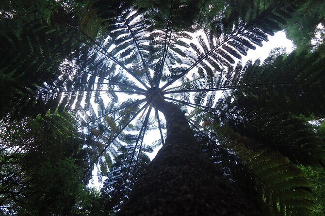 8-Hour Private Tour in 4x4 Vehicle from Ponta Delgada - Frequently Asked Questions