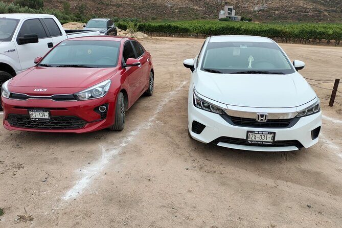 8 Hour Private Tour in the Guadalupe Valley 1-4 Passengers - Pricing and What You Get