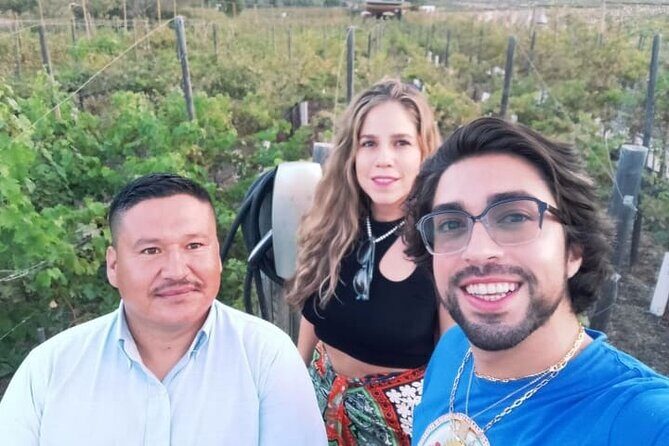 8 Hour Private Tour in the Guadalupe Valley 1-4 Passengers - Who Should Book This Tour?