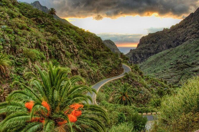 8-Hour Rental in a Luxury Car and Driver/Official Private Guide in Tenerife - Exploring Tenerife in Style: An 8-Hour Luxury Car and Private Guide Experience