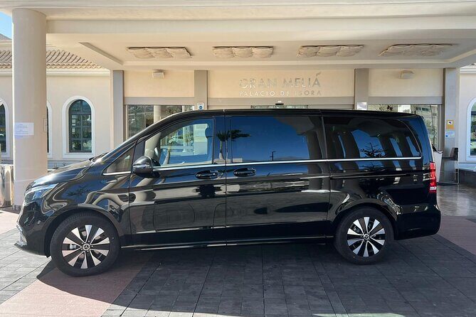 8-Hour Rental in a Luxury Car and Driver/Official Private Guide in Tenerife - Key Points