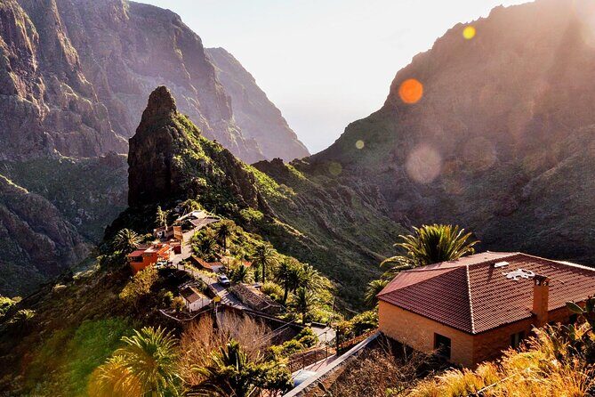 8-Hour Rental in a Luxury Car and Driver/Official Private Guide in Tenerife - Why Consider the Price?