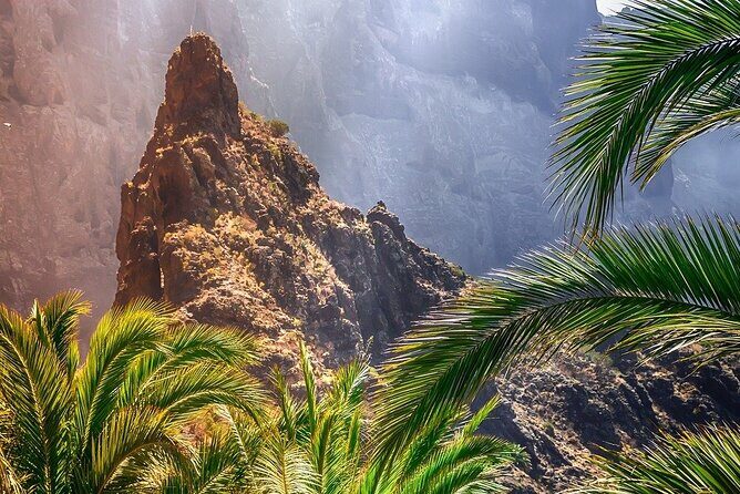 8-Hour Rental in a Luxury Car and Driver/Official Private Guide in Tenerife - Authentic Experiences from Reviews