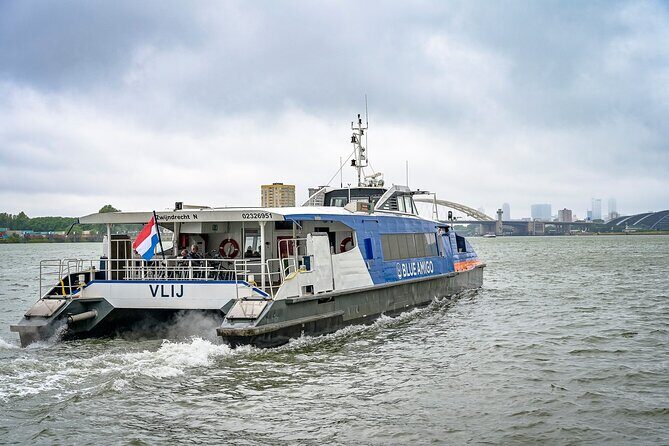 8 hour Walking and Boat Tour to Rotterdam and Kinderdijk - Final Thoughts: Who Will Love This Tour?