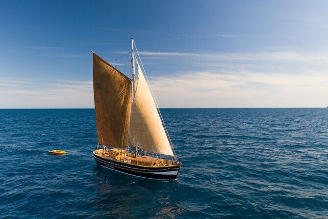 8-Hour Whale Watching in Barcelona - An In-Depth Look at the Whale Watching Experience