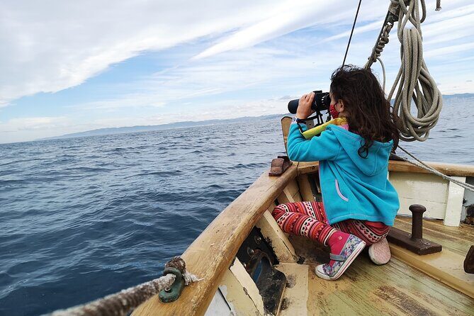 8-Hour Whale Watching in Barcelona - Final Thoughts