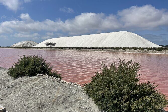 8 Hours Visit to the Camargue and the Salins dAigues-Mortes - Key Points