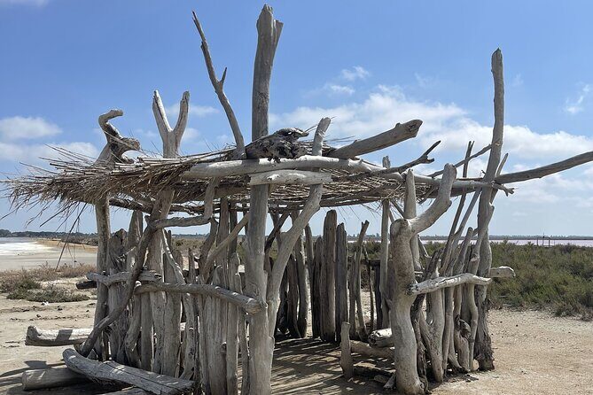 8 Hours Visit to the Camargue and the Salins dAigues-Mortes - A Deep Dive into the Tour Experience