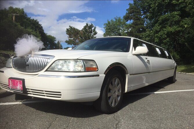 8 Passengers Transfer from or to Montreal Airport YUL to Montreal City Center - Detailed Review of the Montreal Airport Transfer Service