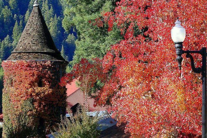 8hr-Private Wine Tour from SF & 1/2 Case of Californian wine. - The Experience: What to Expect on This Private Wine Tour