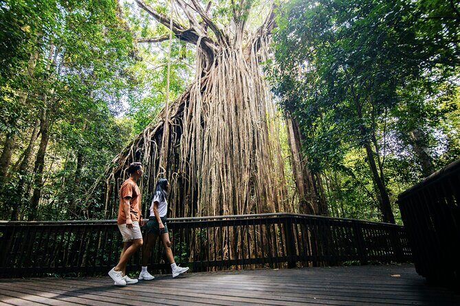 9 Day Brisbane to Daintree Whitsundays Great Barrier Reef Comfort - What Makes This Tour Stand Out?