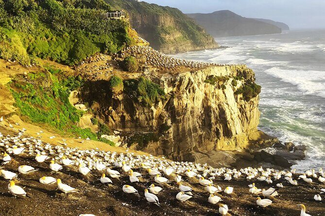 9 Day South to North Island NZ Private Tour from Queenstown - Exploring the South Island’s Finest Sights
