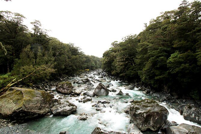 9 Day South to North Island NZ Private Tour from Queenstown - Who Is This Tour Best For?