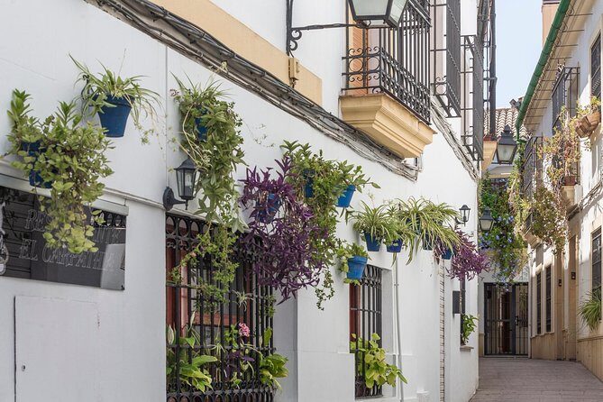 9-Day Tour: Madrid, Andalusia, Valencia & Barcelona from Madrid - Transportation and Accommodation