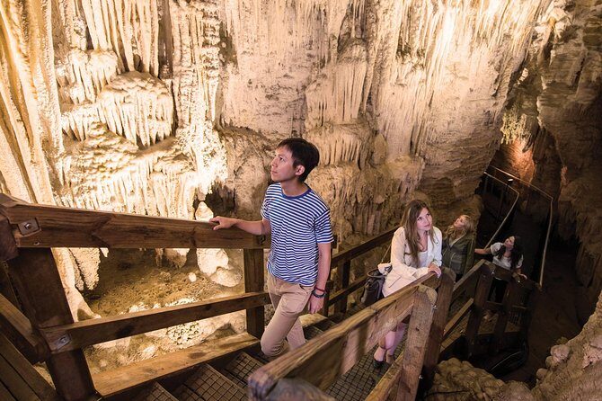 90-Minute Guided Ruakuri Cave Tour Waitomo - Exploring the Itinerary: What to Expect