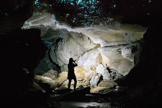 90-Minute Guided Ruakuri Cave Tour Waitomo - Why This Tour Stands Out