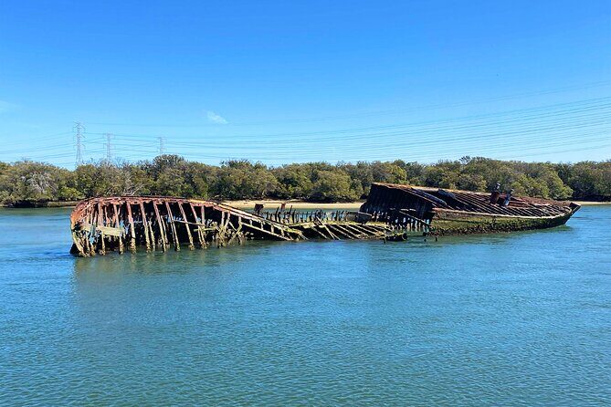 90 Minute Port River Dolphin & Ships Graveyard Cruise - Timing and Flexibility