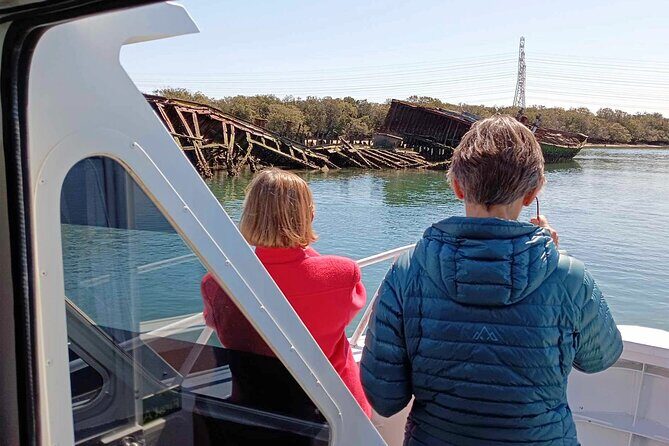 90 Minute Port River Dolphin & Ships Graveyard Cruise - What to Expect and Tips