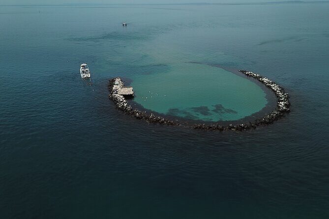 90 minute wildlife and scenic cruise - Key Points