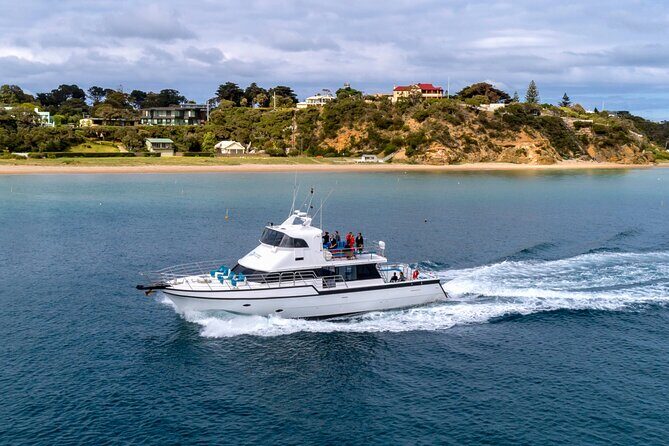 90 minute wildlife and scenic cruise - The Realities of Wildlife Sightings