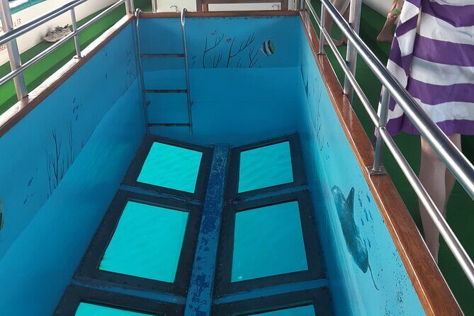 90-Minutes Glass Bottom Trip With Quick Dip - An In-Depth Look at the Experience