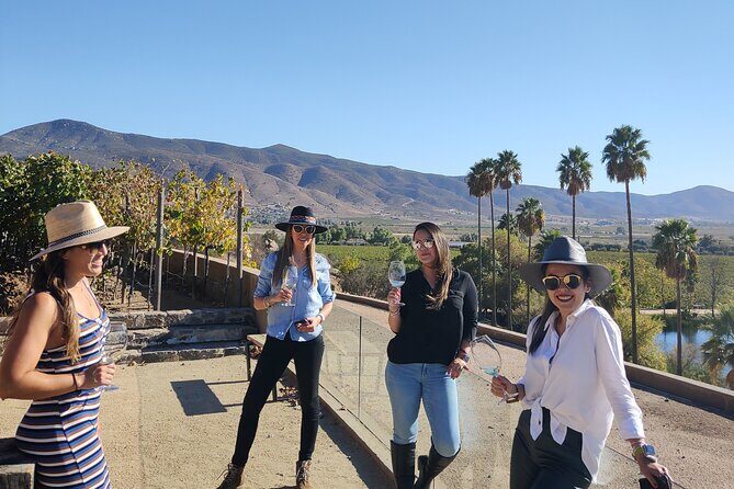 $99 Valle de Guadalupe Wine Tours - DayTrip to baja from San Diego - Authentic Experiences and Practical Insights