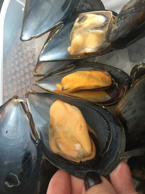 A Coruña: Local Market Shopping and Cooking Workshop - FAQ