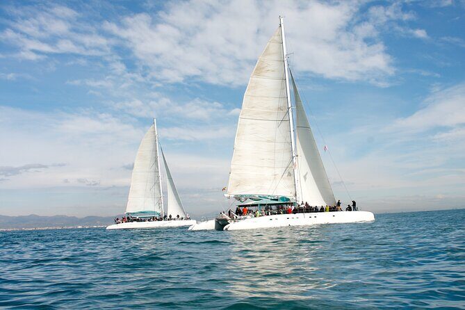 A day at sea from Dénia or Jávea with Barbecue aboard the Catamaran - What to Bring