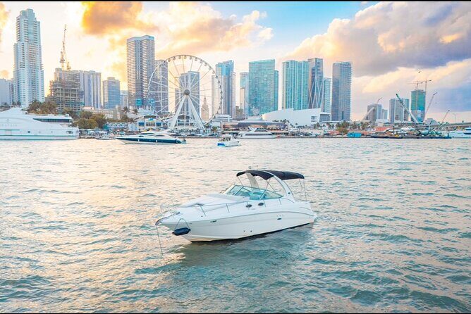 A Day in Miami Paradise - Who This Tour Is Best For