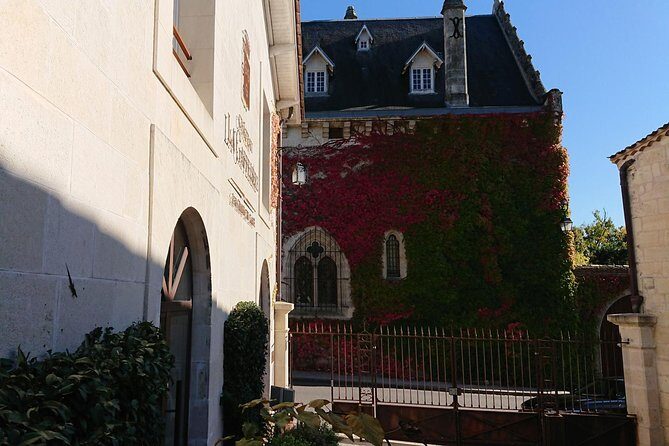 A day in Saint-Émilion and its Châteaux in a private tour (Van Luxe) - What Makes This Tour Stand Out?