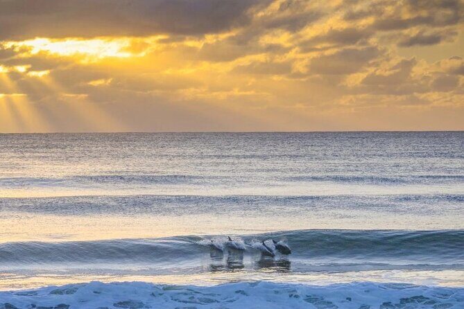 A Day In The Vineyards || Luxury Private Winery Tour From Sydney - Who Will Love This Tour?