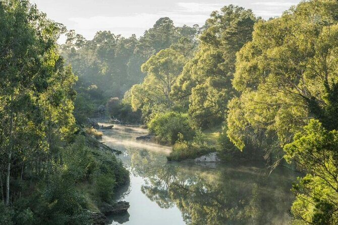 A Day In The Vineyards || Luxury Private Winery Tour From Sydney - Final Thoughts