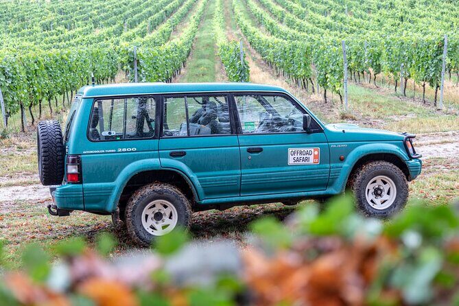 A delightful wine tasting in the scenic countryside with lunch - Who Will Love This Tour?