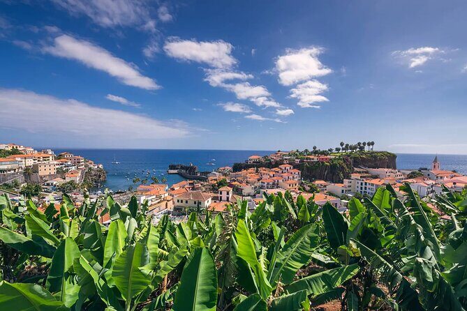 A great tuk-tuk adventure Tour at Cabo Girão - Skywalk - The Practicalities: What’s Included and What to Expect  