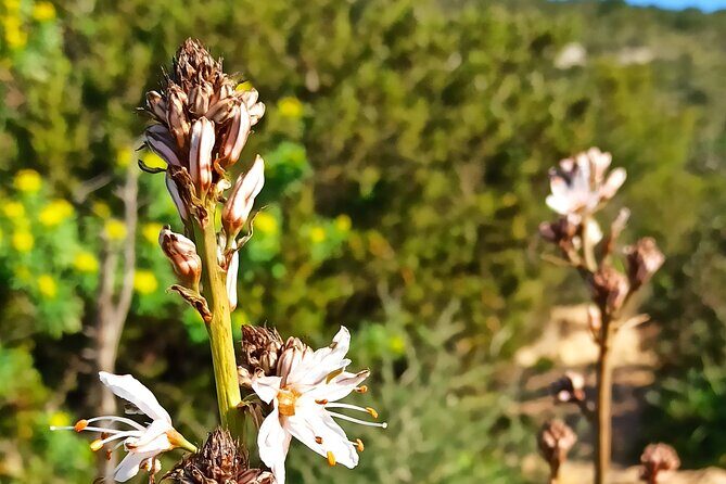 A hike to the Devil's Saddle - Who Should Consider This Tour?