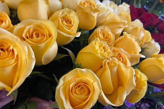 A Mexican Cooking Class - Practical Details: What You Need to Know