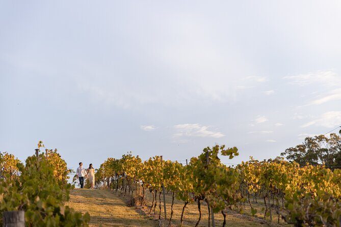 A Petit Pairing Sirromet Winery Food and Wine Matching - FAQs