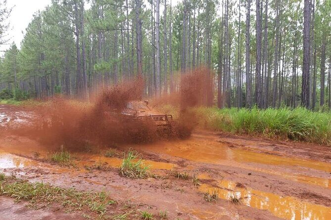 A Private Day in the Deep South in 4x4 Adventure mode - Practical Considerations and Tips