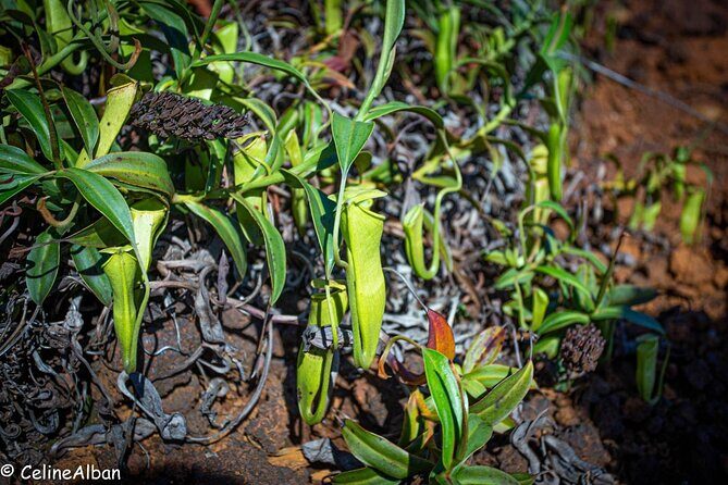 A Private Day in the Deep South in 4x4 Adventure mode - Who Is This Tour Best For?