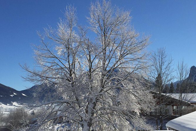 A Private Garmisch Walking Tour - Practical Details and Considerations