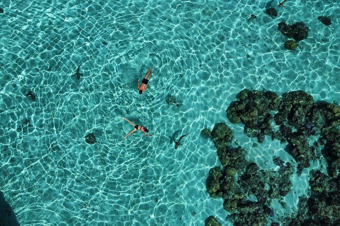 A private tour with Blue Lagoon - The Value of Included Food and Snacks